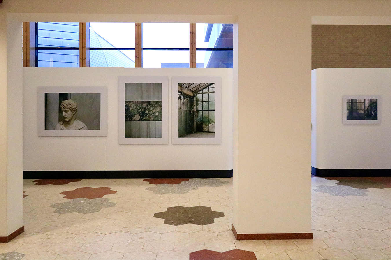 shirley welten - home